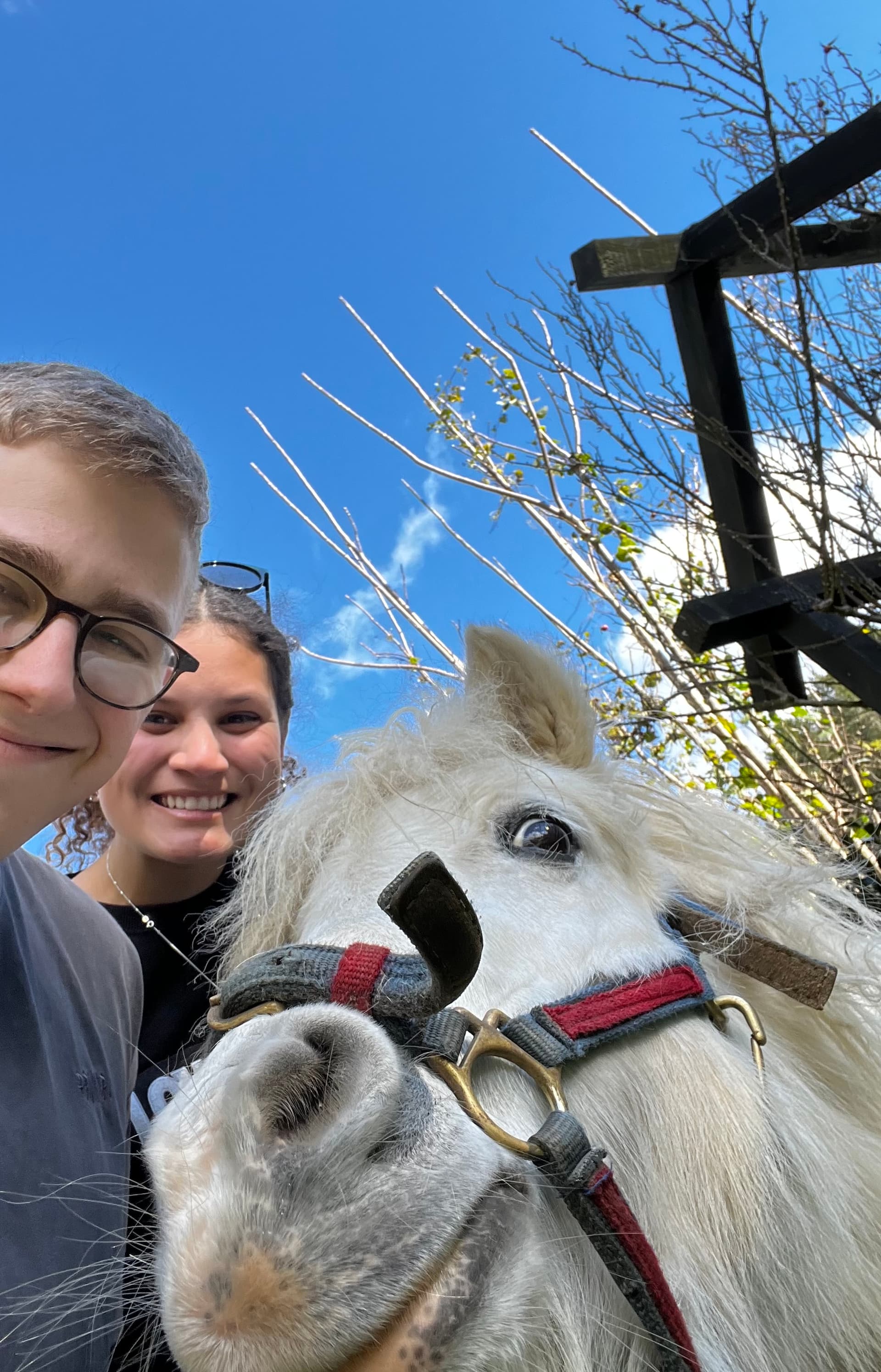 Daniel & Tiana - Wedding Celebration